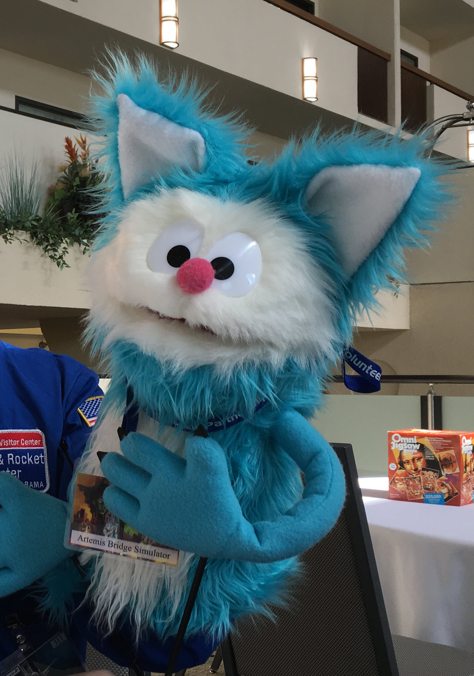 Meet the new GPS SpokesCat! – Geek Partnership Society